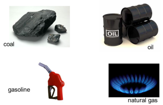 5.7A Formation of Sedimentary Rock & Fossil Fuels 5th Grade Video | Quizizz